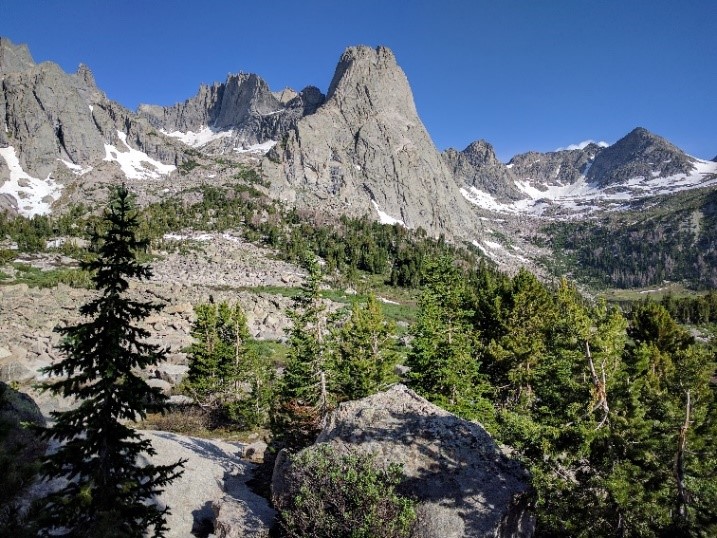 Climbing Self-Rescue - Elevated Safety